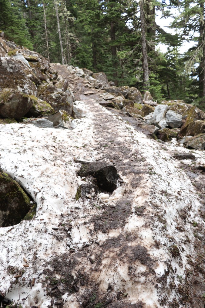 Ira Springs Trail | PNW Trail Junkie